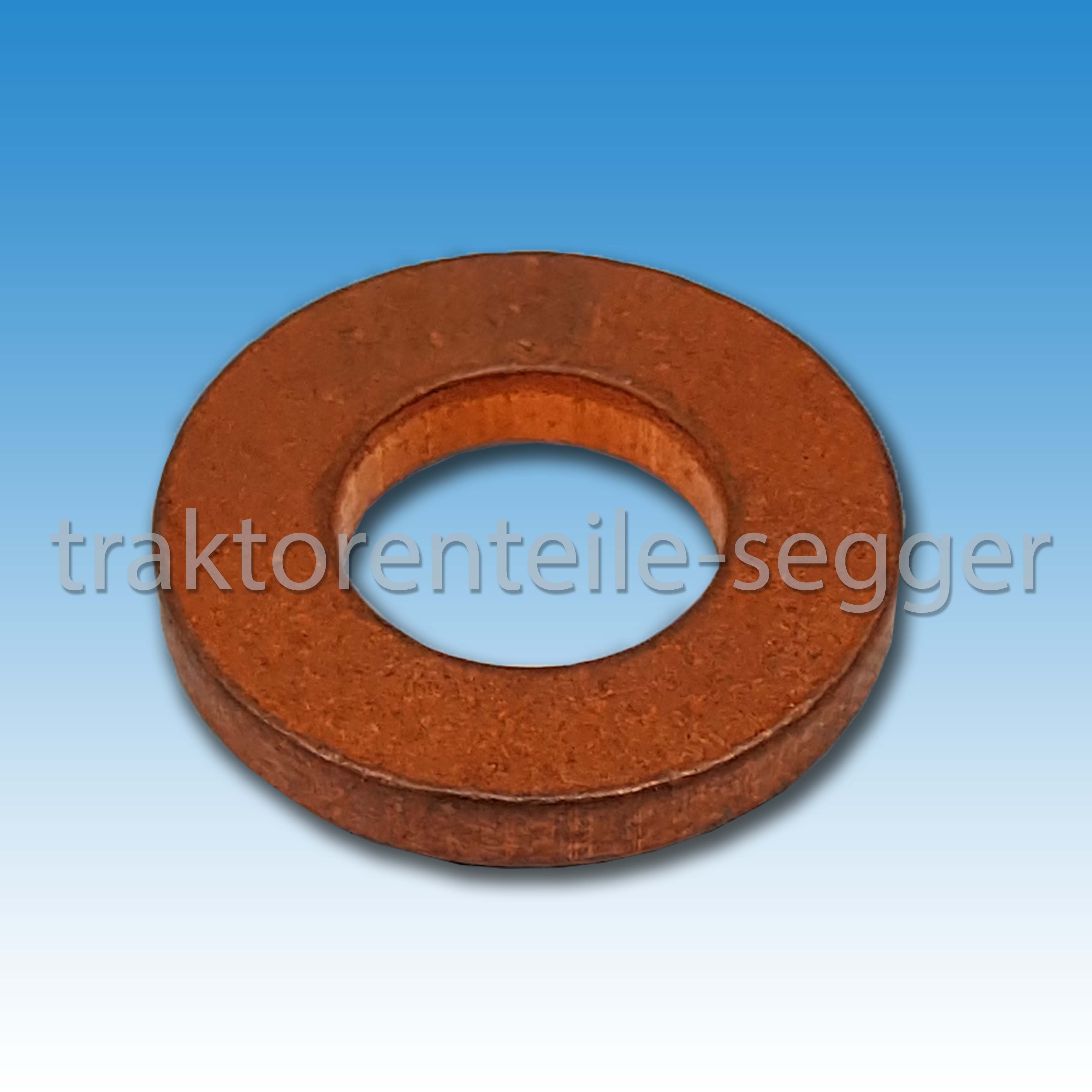 Traktorenteile Segger - Dichtring für Düsenstock Düsenhalter Holder A ...